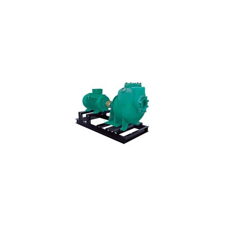 1I3423 - AUE 6 500-4 - WDM BOMBA AUTOCEBANTE COPLE FLEXIBLE MOTOR ...